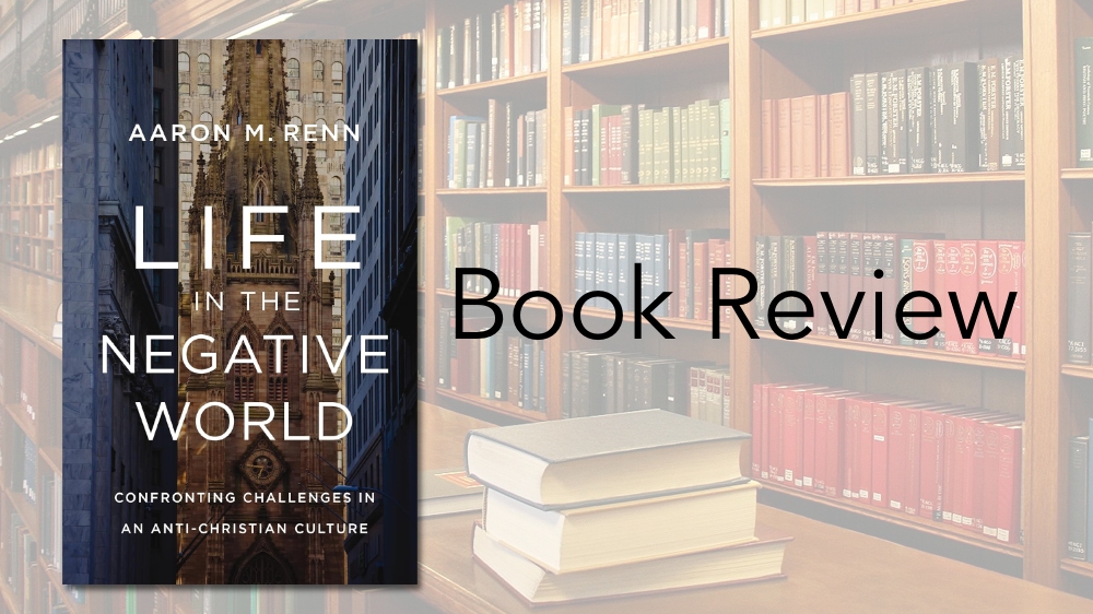 Book Review: “Life in the Negative World” by Aaron Renn • Notes from ...